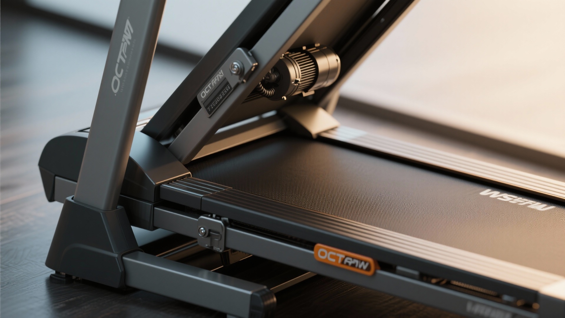 Tiny Apartment? Small Home Gym Layout for Folding Treadmill