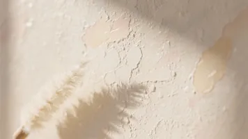 feather dusting wall